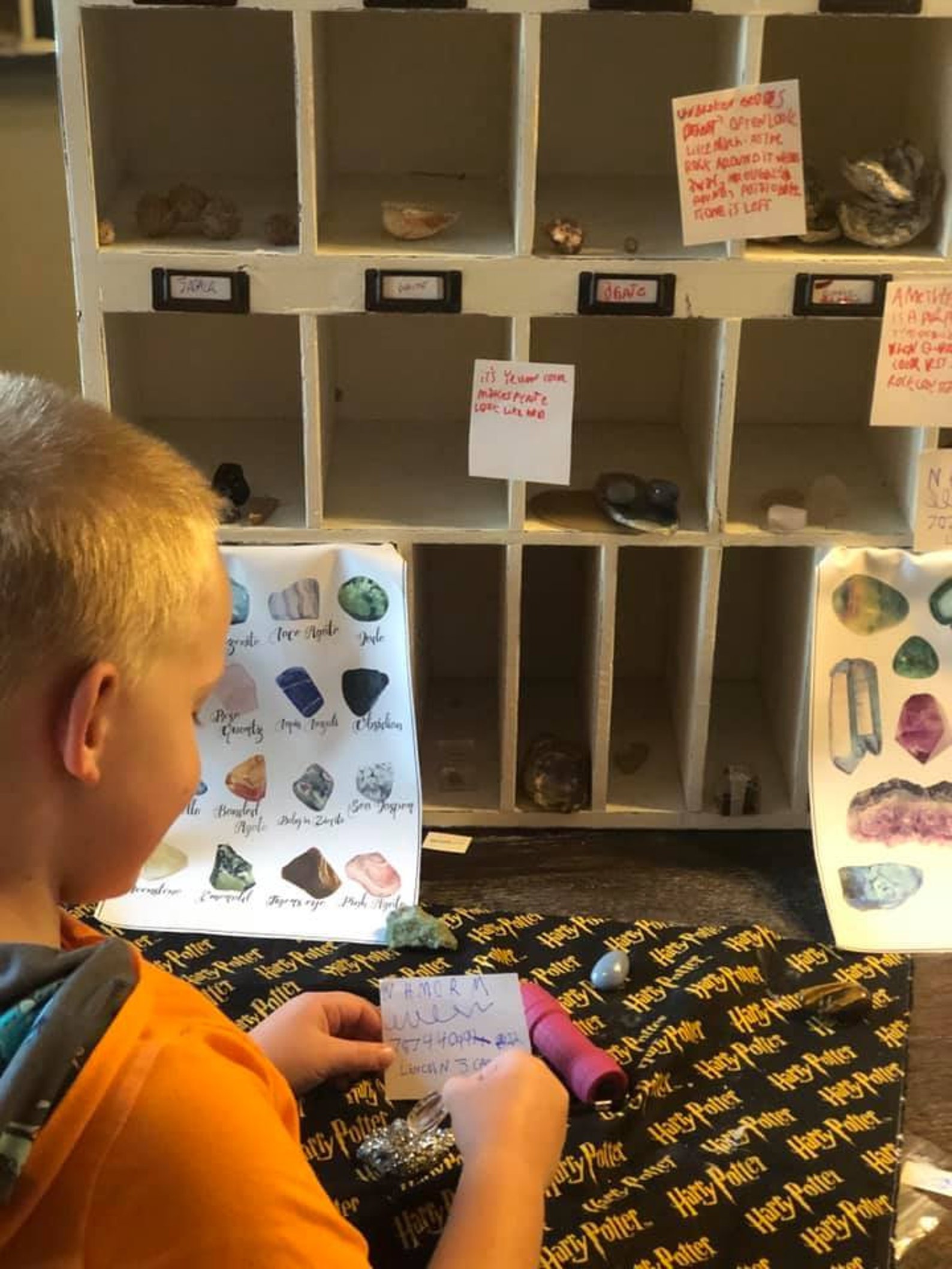 Geology Unit Study - Etsy