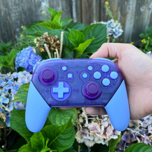 Custom Nintendo Switch Pro Controller - Etsy
