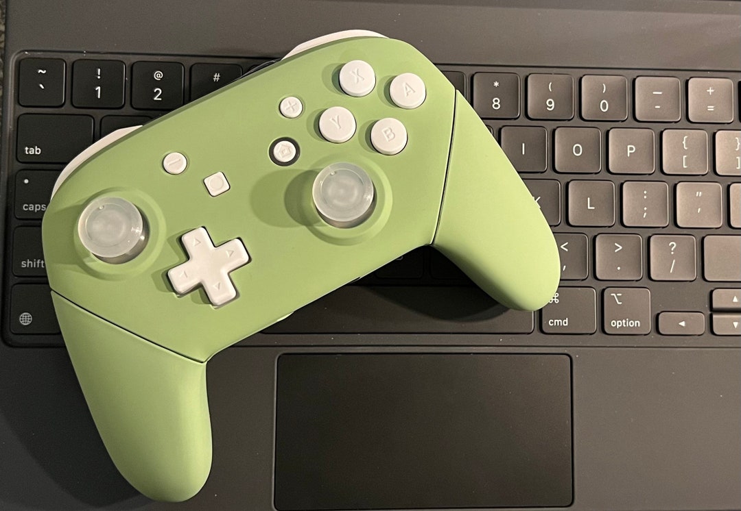 Gaming With Style: Exclusive Custom Nintendo Switch Pro Controller With ...