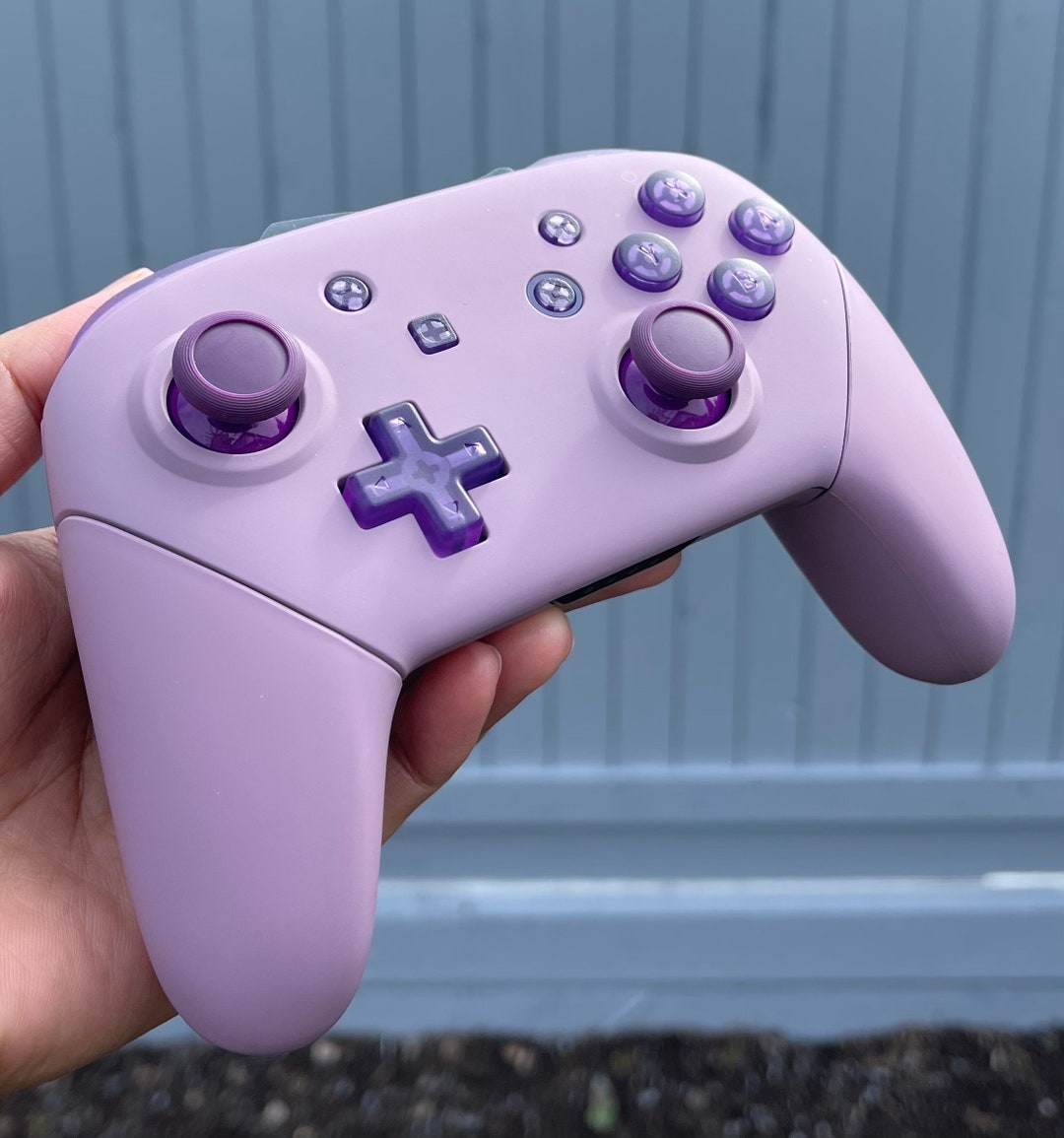 Pro-level Gaming Elegance: Custom Nintendo Switch Pro Controller - Free ...