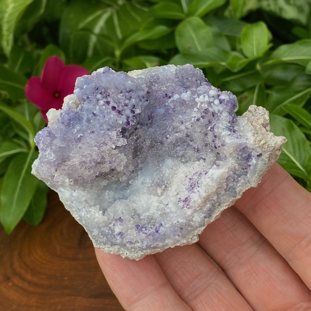 Superb Spirit Flower Geode New Find 2021 Blue Chalcedony, Quartz, Blue ...