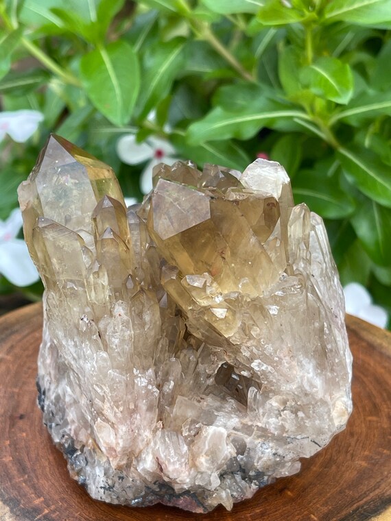 Congo Citrine 100% Natural Larger 767g. Authentic - Etsy