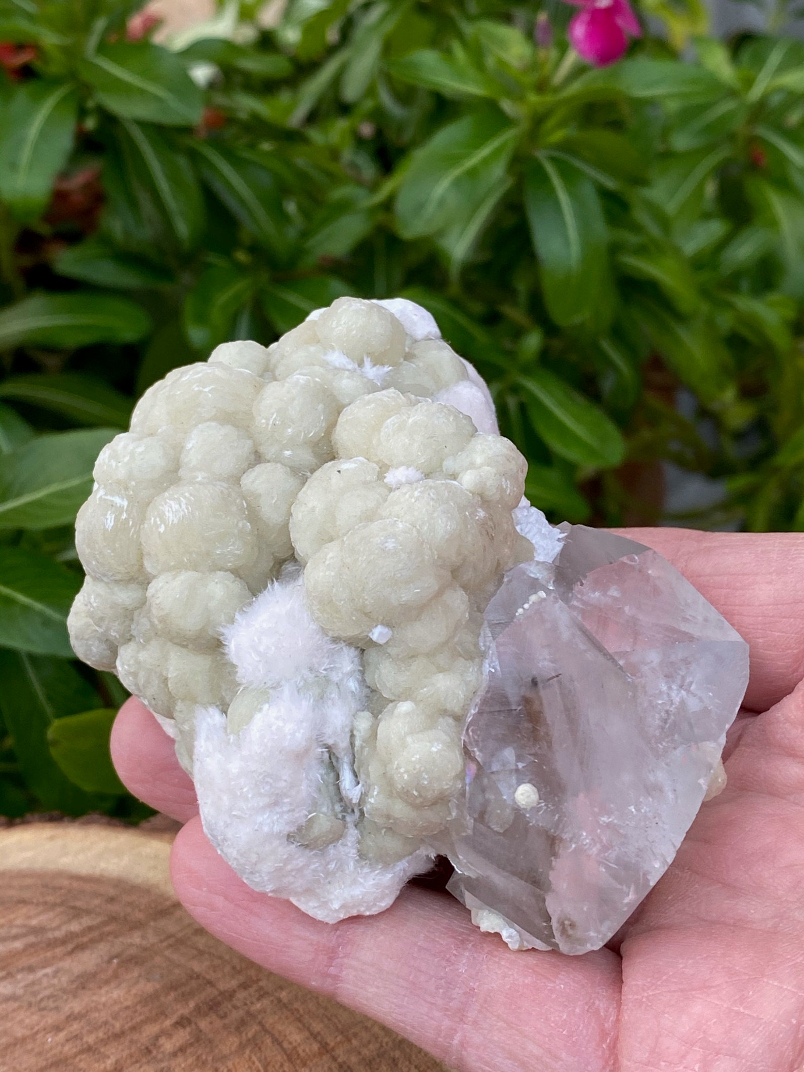 Rare Gyrolite Spheres Calcite Okenite Crystals 3.5 | Etsy