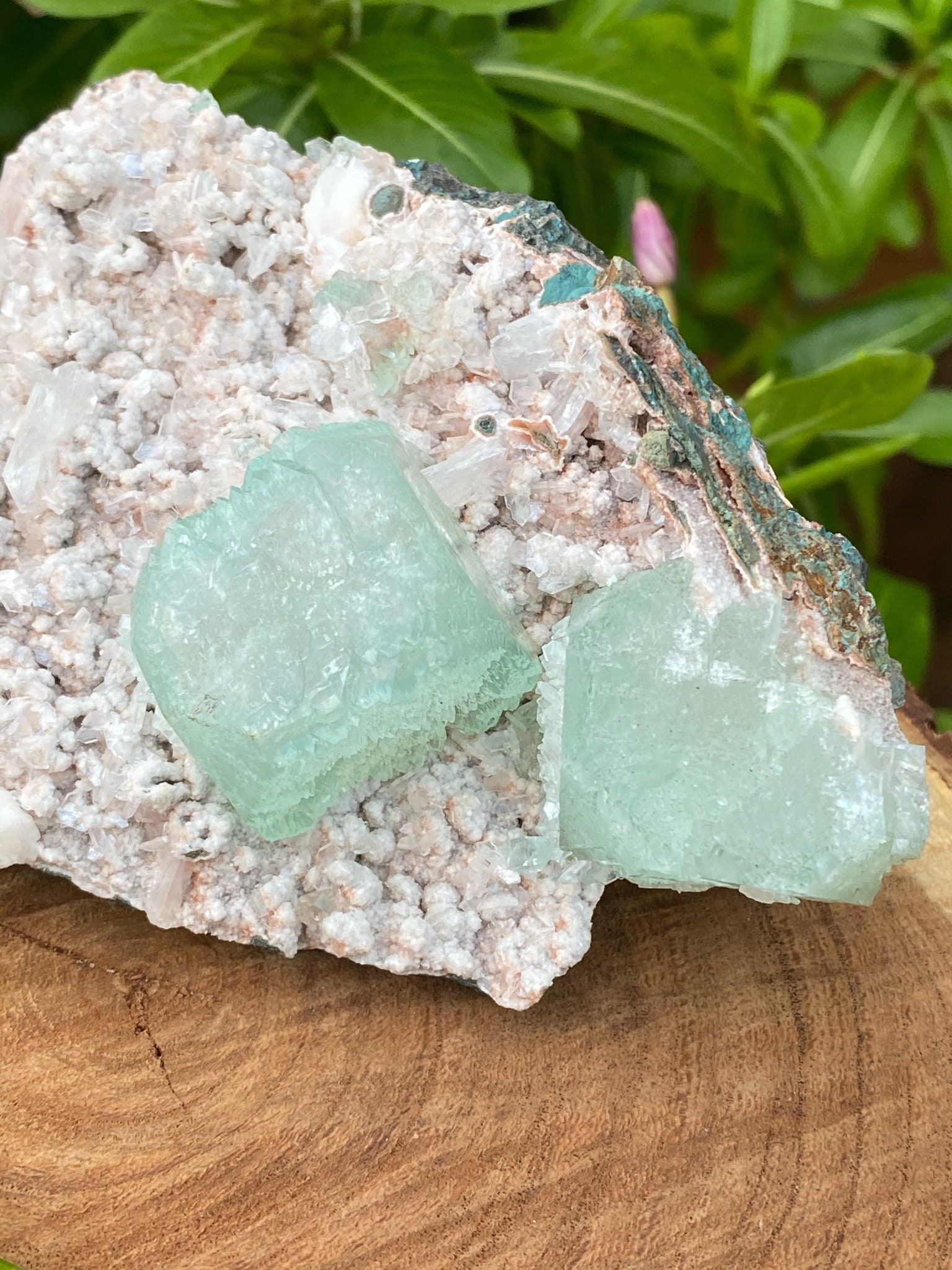 Green Apophyllite & Stilbites on Micromount Heulandites Crystal ...