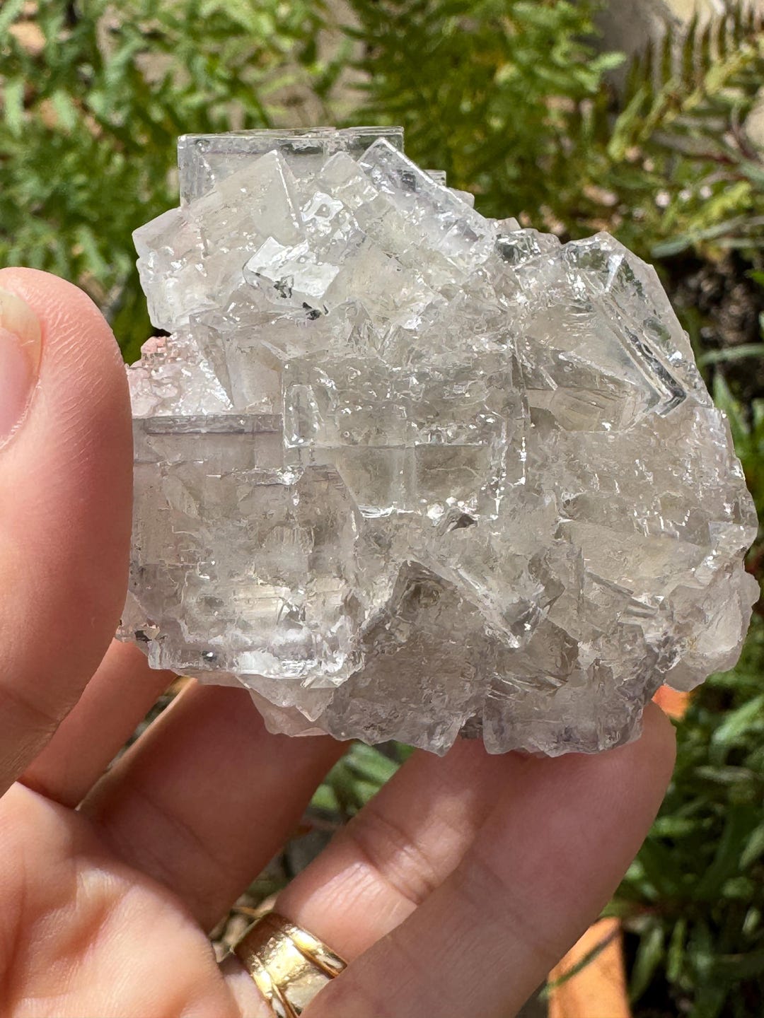 Fluorite Emilio Mine Spain | Icy Blue Mineral Excellent Luster ...