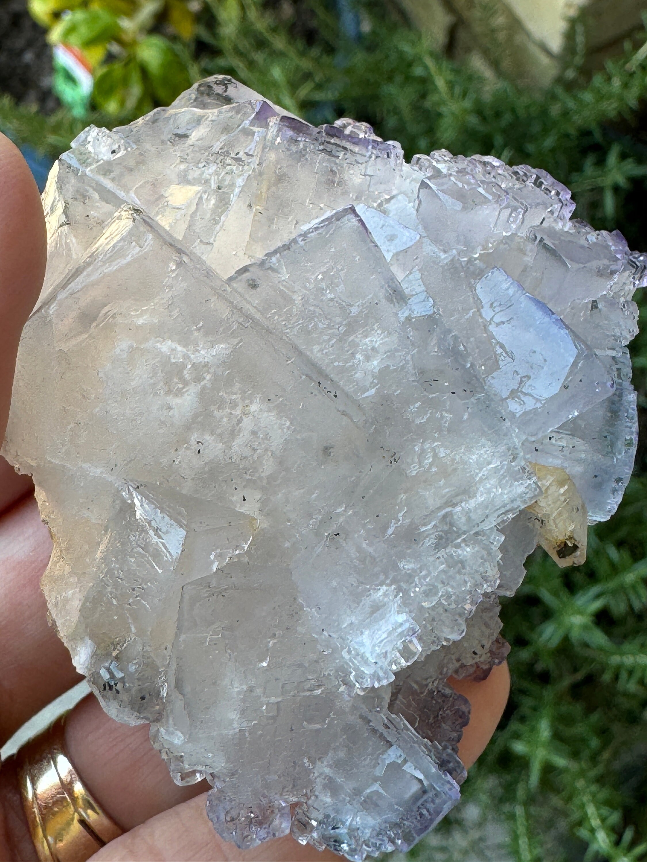 Fluorite Emilio Mine Spain Icy Blue Mineral Excellent Luster | 124grams ...