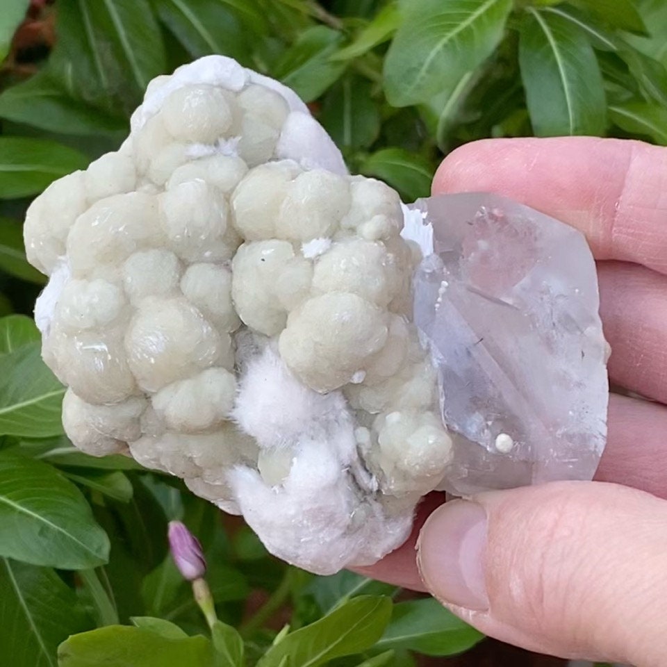Rare Gyrolite Spheres Calcite Okenite Crystals 3.5" 218 Grams - Etsy