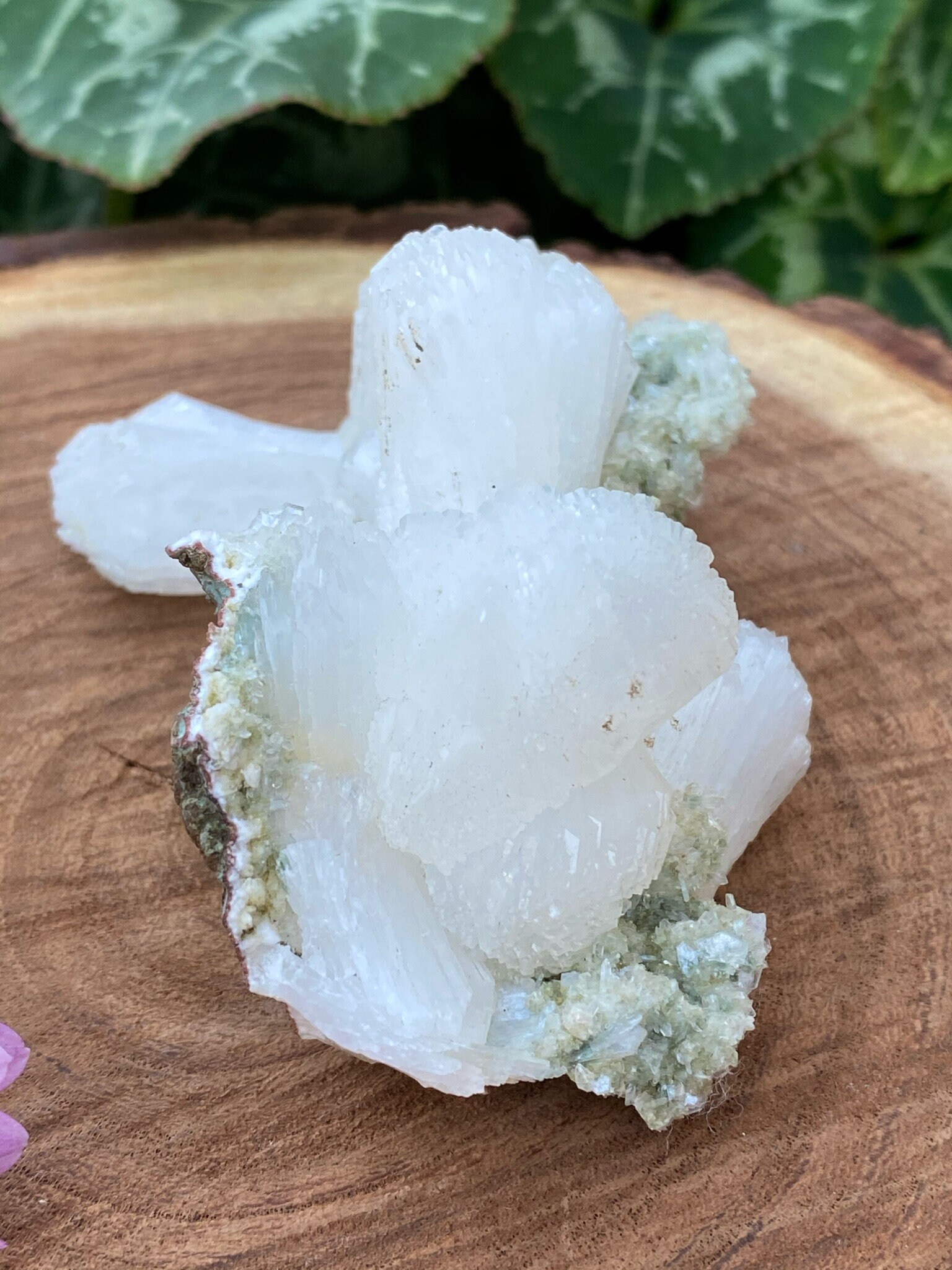 Top White Pearly Stilbite on Heulandite Base Zeolite Crystals - Etsy UK
