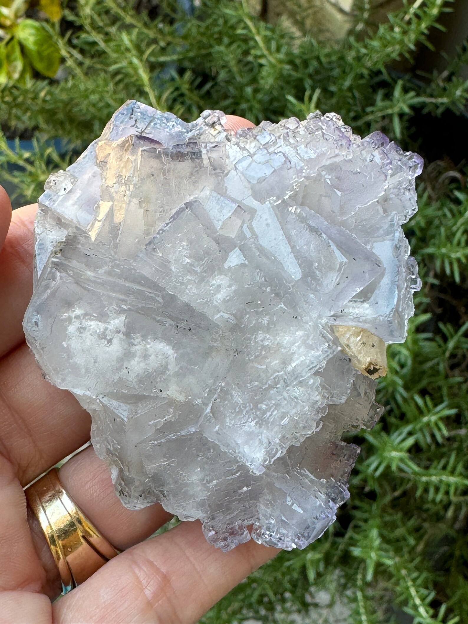 Fluorite Emilio Mine Spain Icy Blue Mineral Excellent Luster | 124grams ...