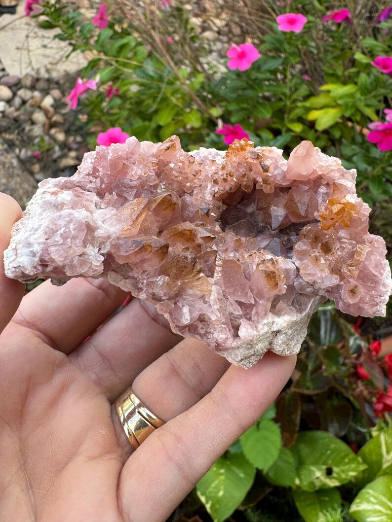Rare Unusual Pink Amethyst With Hematite Tips Geode; Gift Idea for ...