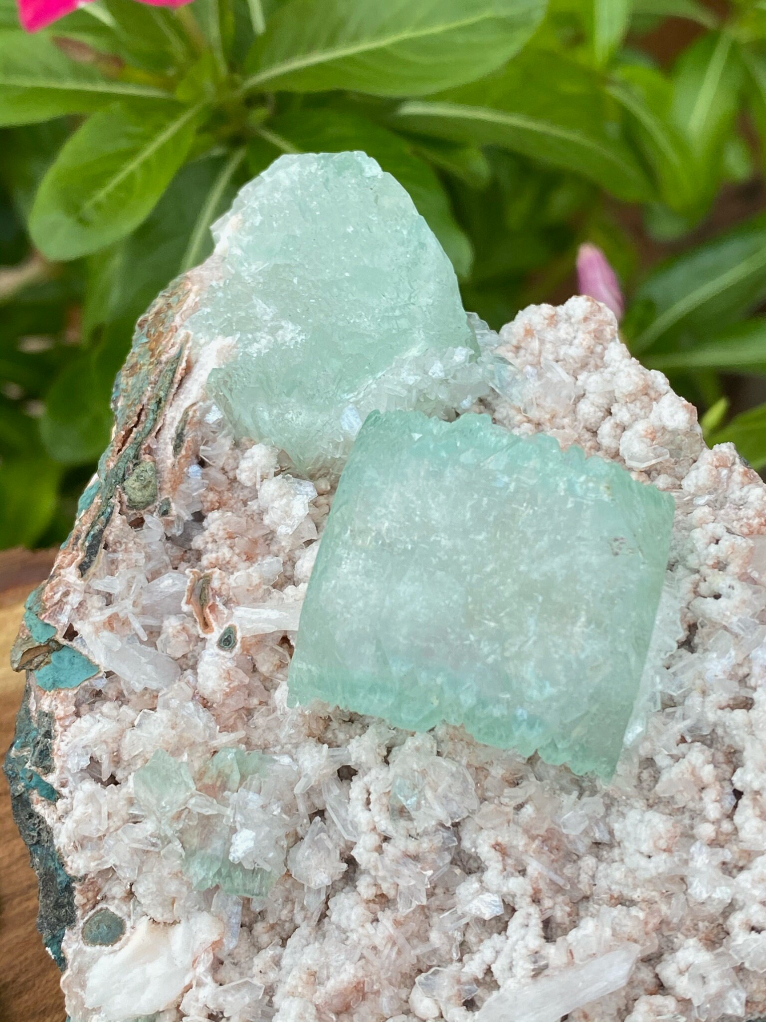 Green Apophyllite & Stilbites on Micromount Heulandites Crystal ...
