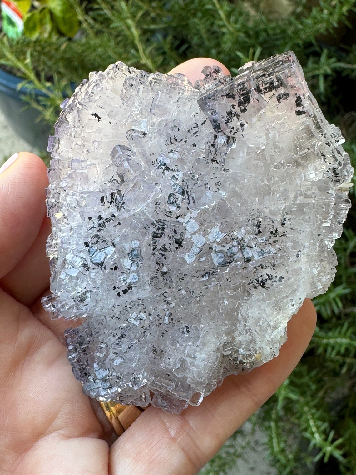 Fluorite Emilio Mine Spain Icy Blue Mineral Excellent Luster | 124grams ...
