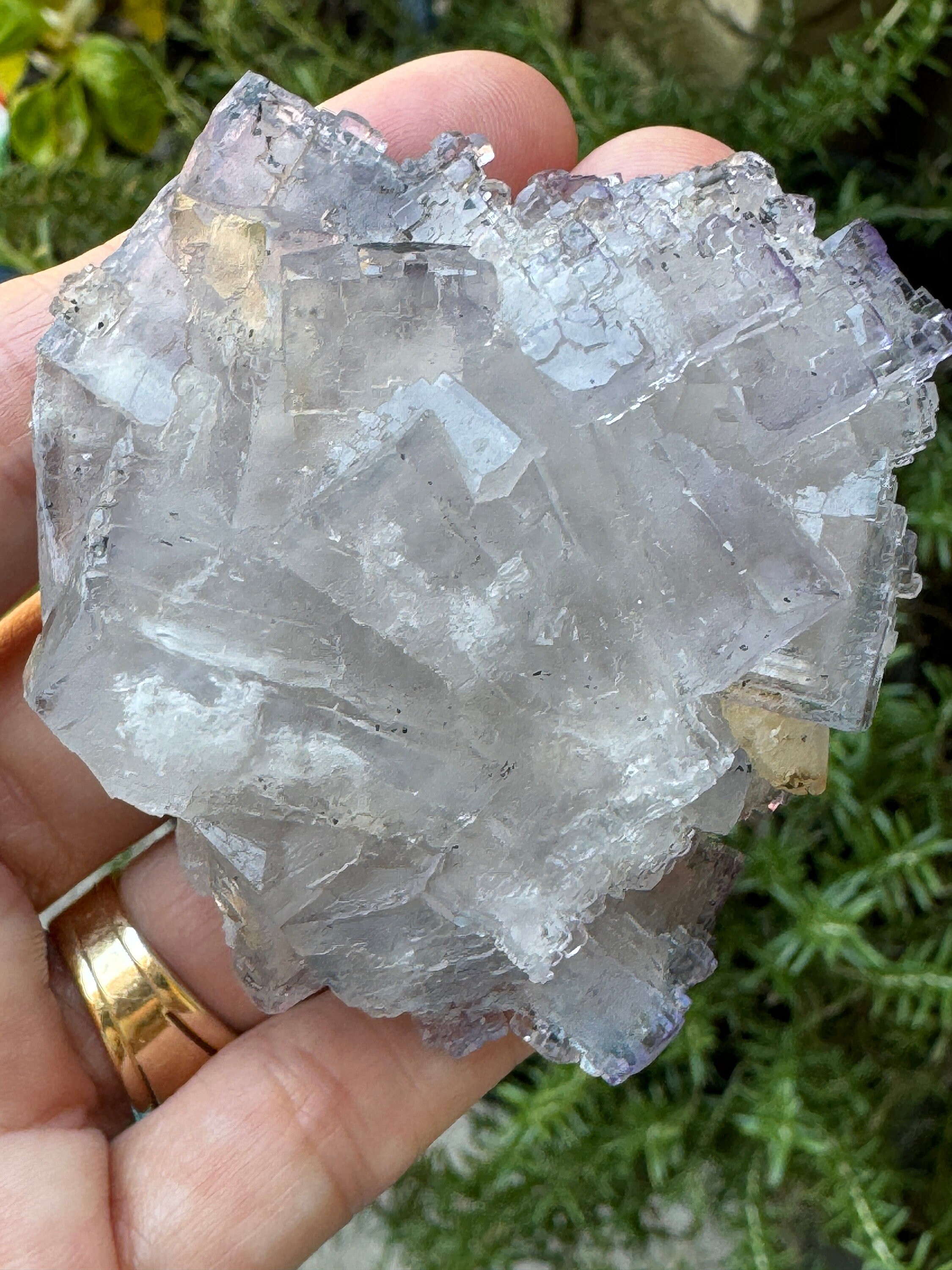 Fluorite Emilio Mine Spain Icy Blue Mineral Excellent Luster | 124grams ...