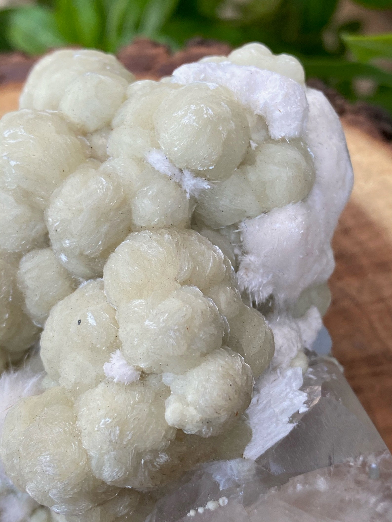 Rare Gyrolite Spheres Calcite Okenite Crystals 3.5 | Etsy