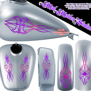 Motorcycle, Trike, Decal Set, Universal Fit for Honda, Harley, Victory ...