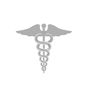 Nurses Symbol, Nurse Caduceus, Nurse Logo, Nurse Embroidery Design File ...