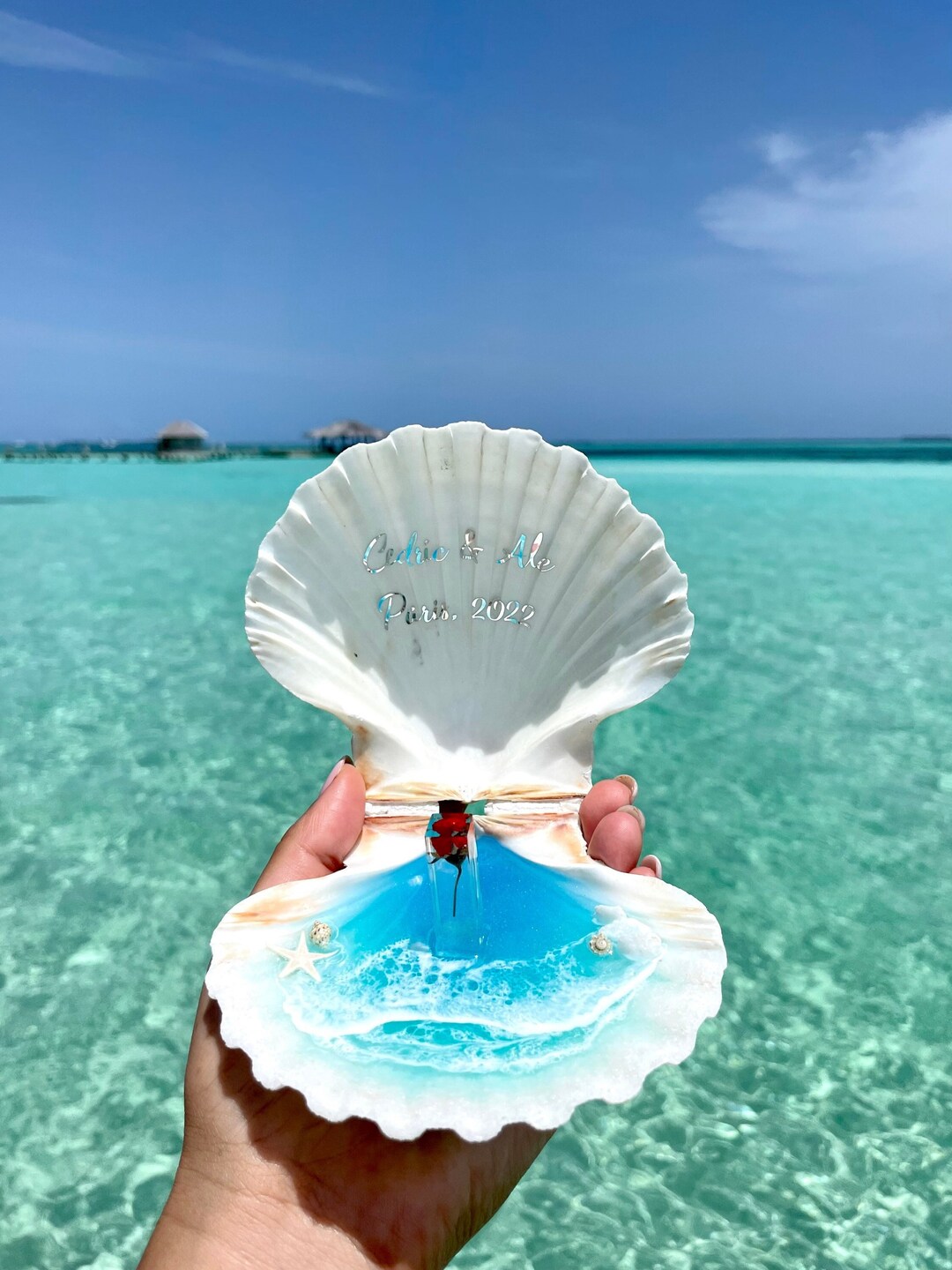 The Noi Shell Box-made to Order-international Luxury Ocean Ring Shell ...