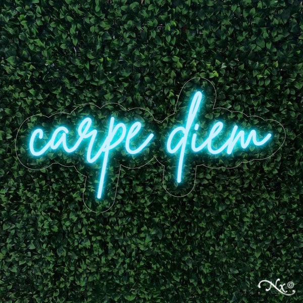 Carpe Diem Sign - Etsy