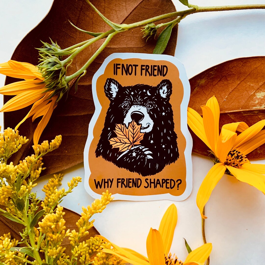 Funny Bear Sticker Gift Bestie Friend Humor National Park State Grizzly ...