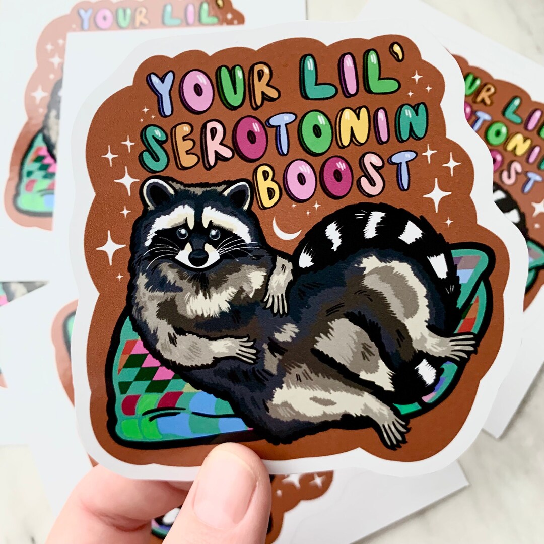 Raccoon Sticker Mental Health Humor Vinyl Raccoon Sticker Funny ...