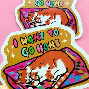 Orange Cat Sticker Funny Kitty Decal Tabby Cat Humor Unhinged Sticker ...