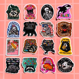 Custom Sticker Bundle Funny Car Decal Bulk Raccoon Sticker Cat Themed ...