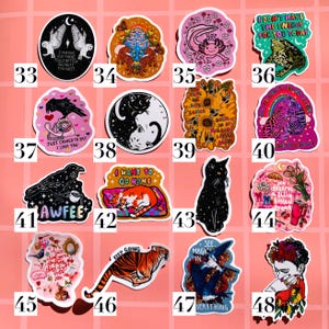 Custom Sticker Bundle Funny Car Decal Bulk Raccoon Sticker Cat Themed ...