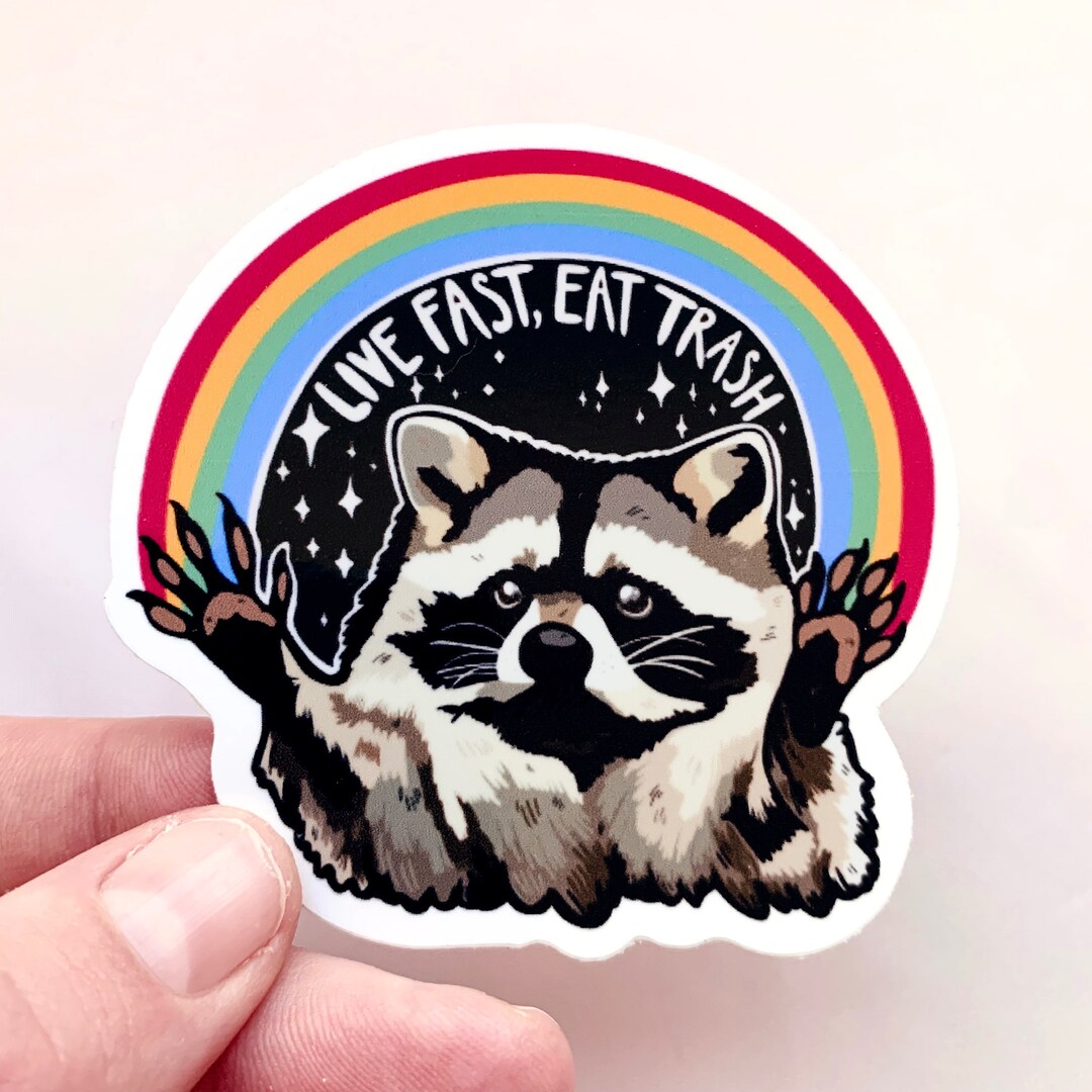 Rainbow Raccoon Sticker Meme Decal Pride Unhinged Funny Trash Panda ...