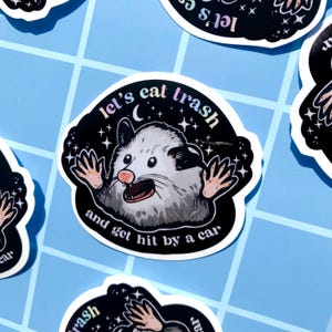 Funny Possum Sticker Unhinged Decal Oppossum Sticker Ironic Mental ...