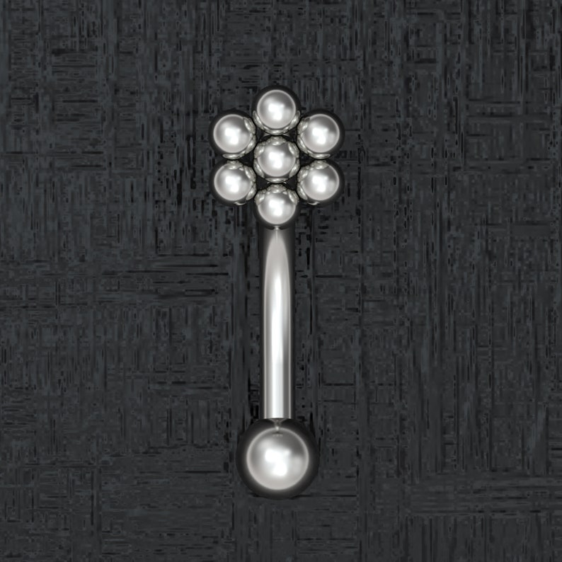 Eyebrow Jewelry Implant Grade Titanium Rook Piercing Curved - Etsy