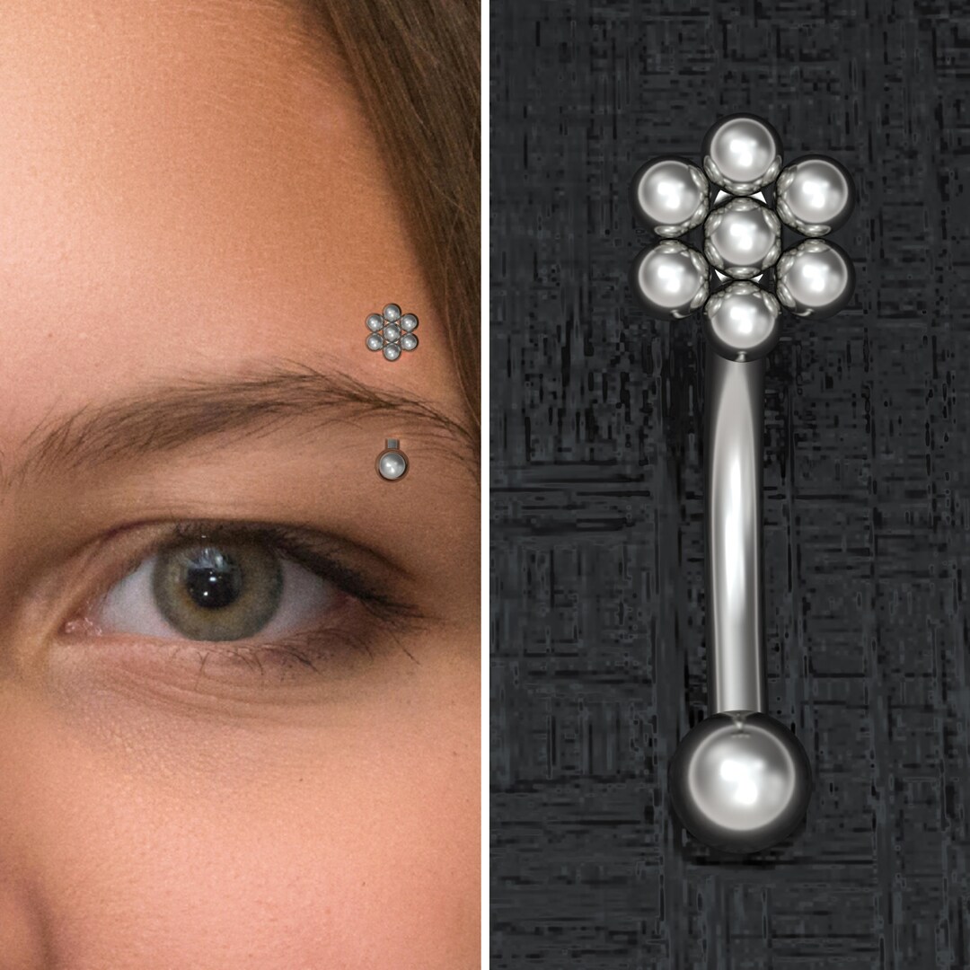 Eyebrow Jewelry Implant Grade Titanium, Rook Piercing, Curved Barbell ...