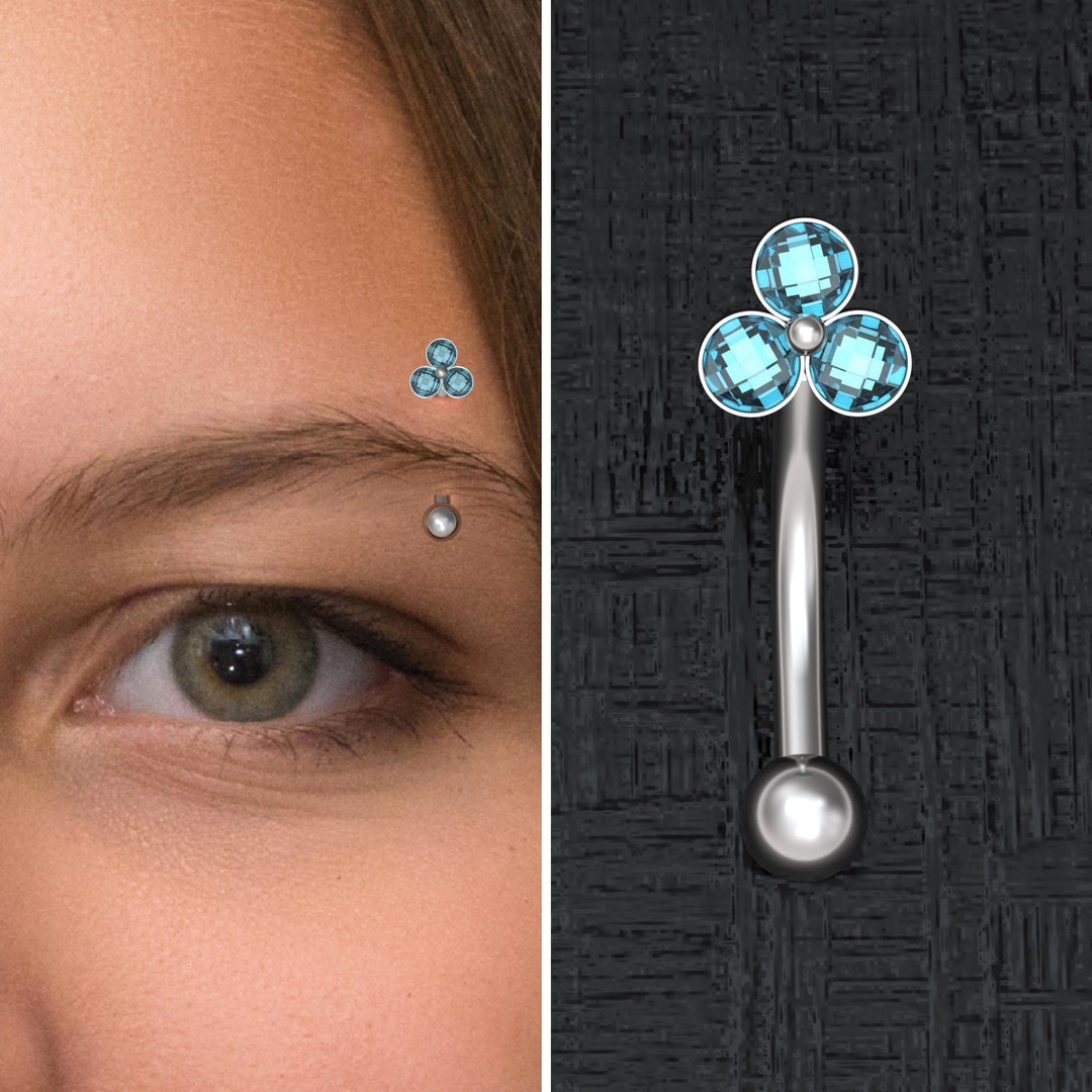 Boucle d'oreille Rook en acier chirurgical, Bijoux pour sourcils CZ ...