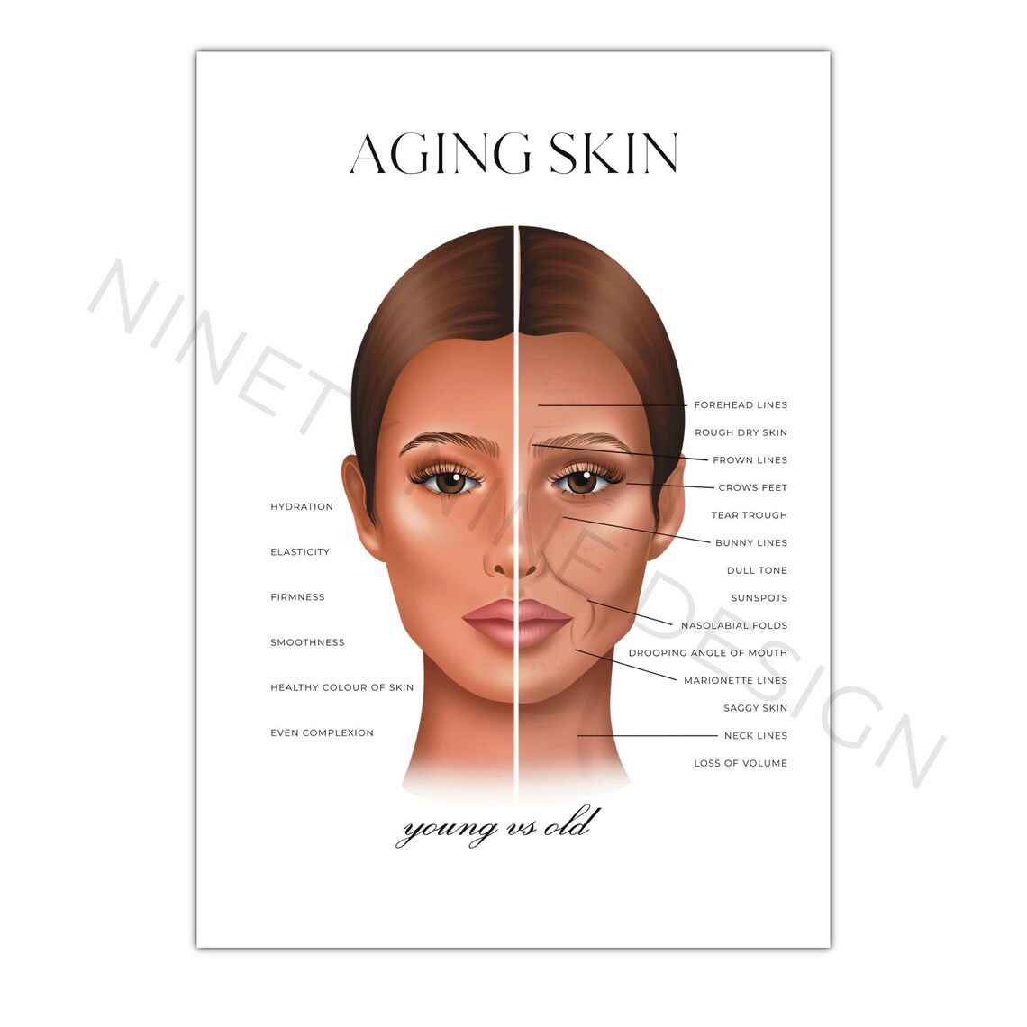 Aging Skin Diagram Poster | Young Vs Old | Aesthetics Practitioner Wall ...