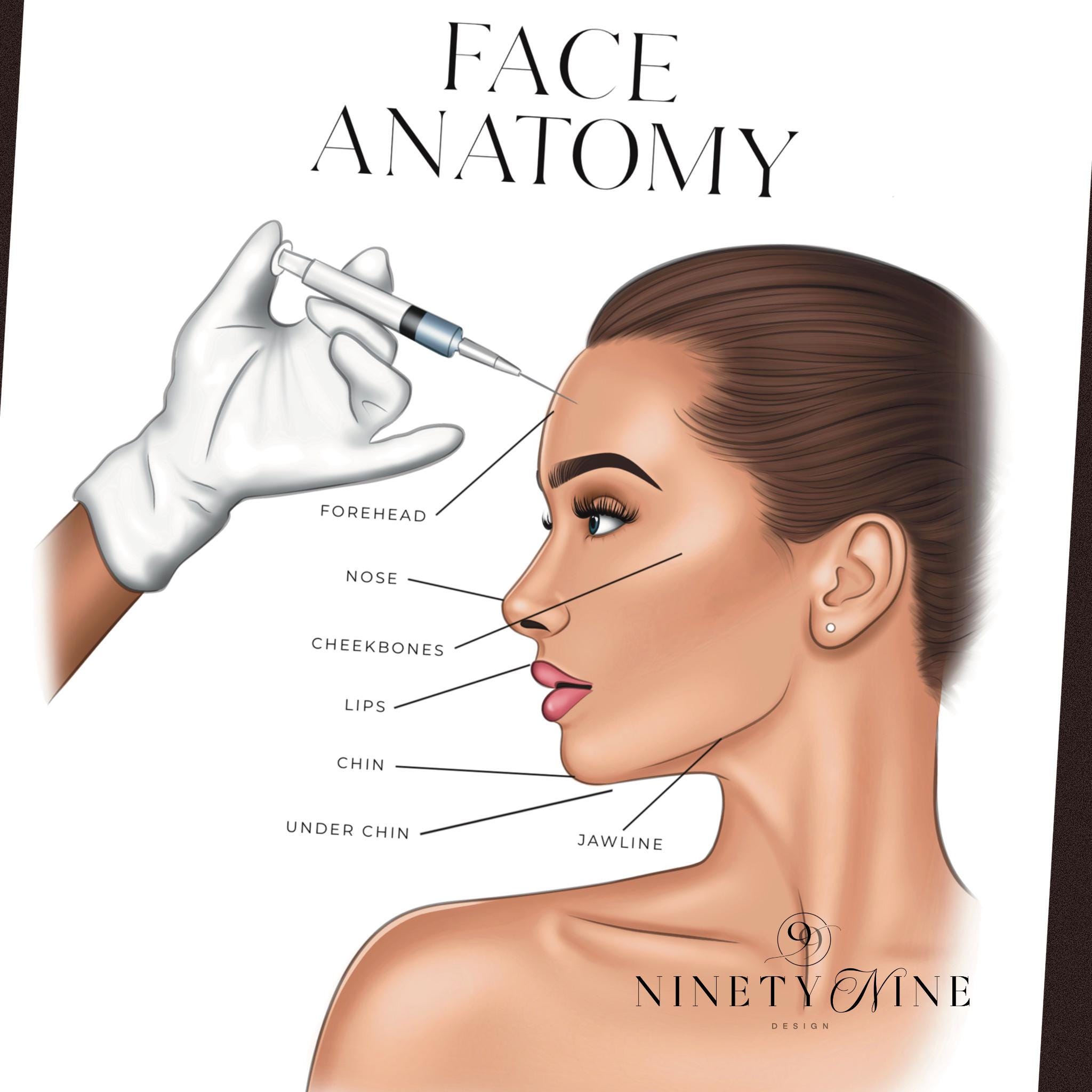 Side Profile Facial Anatomy Poster | Places to Inject Syringe in the ...