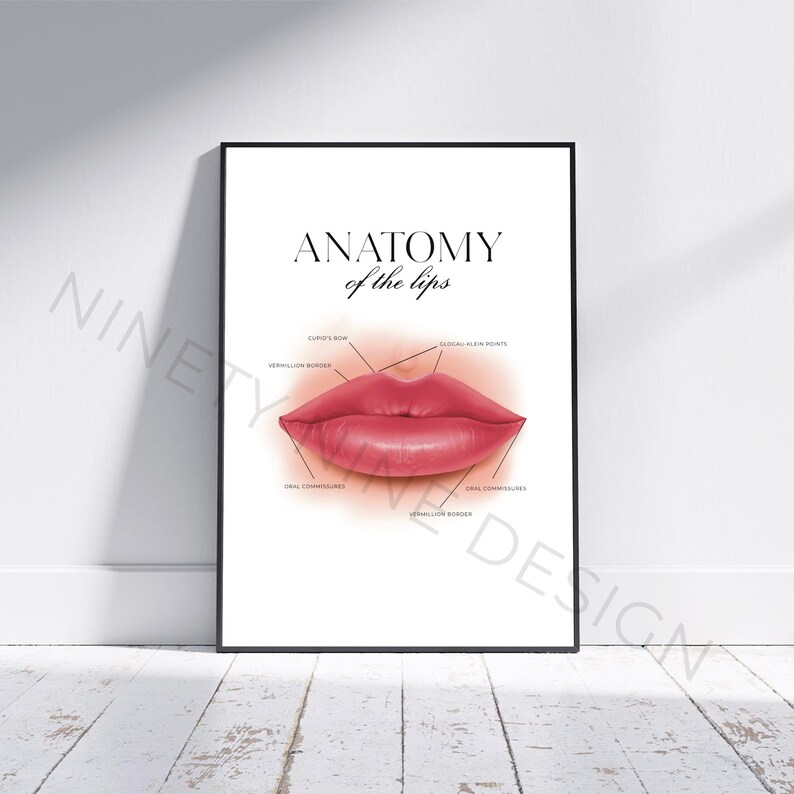 Lip Anatomy Poster Lip Injections Lip Wall Decor Aesthetics Practitioner Wall Art