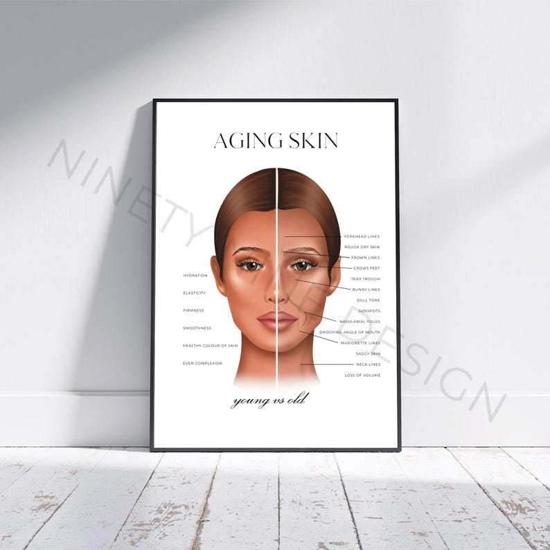 Aging Skin Diagram Poster | Young Vs Old | Aesthetics Practitioner Wall ...