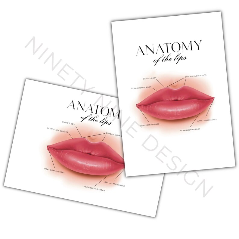 Lip Anatomy Poster | Lip Injections | Lip Wall Decor | Aesthetics ...