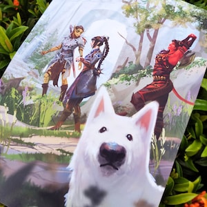 BG3 Baldur's Gate 3 Print Ft. Karlach Shadowheart Lae'zel Scratch ...