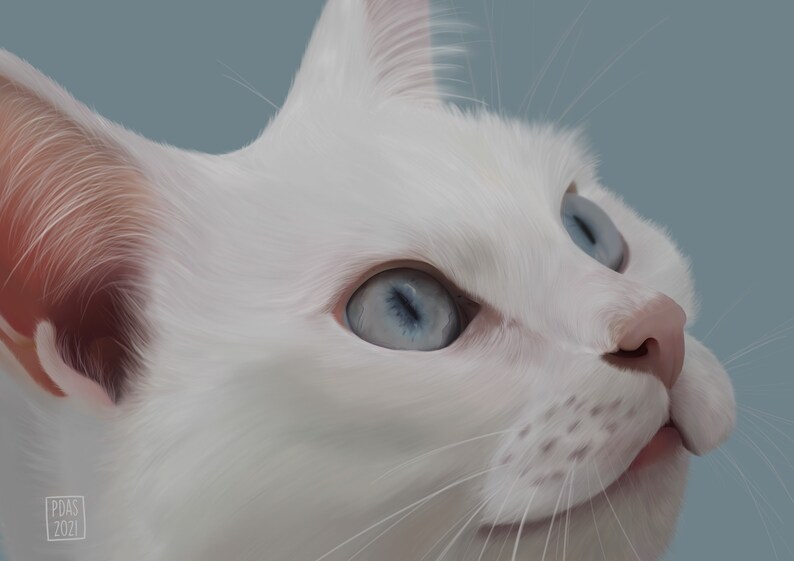 Personalised DIGITAL Pet Portrait / Custom / Digital Art / - Etsy UK