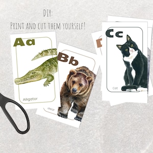 Printable Alphabet Flashcards A-Z Animal Alphabet Flashcards Download ...