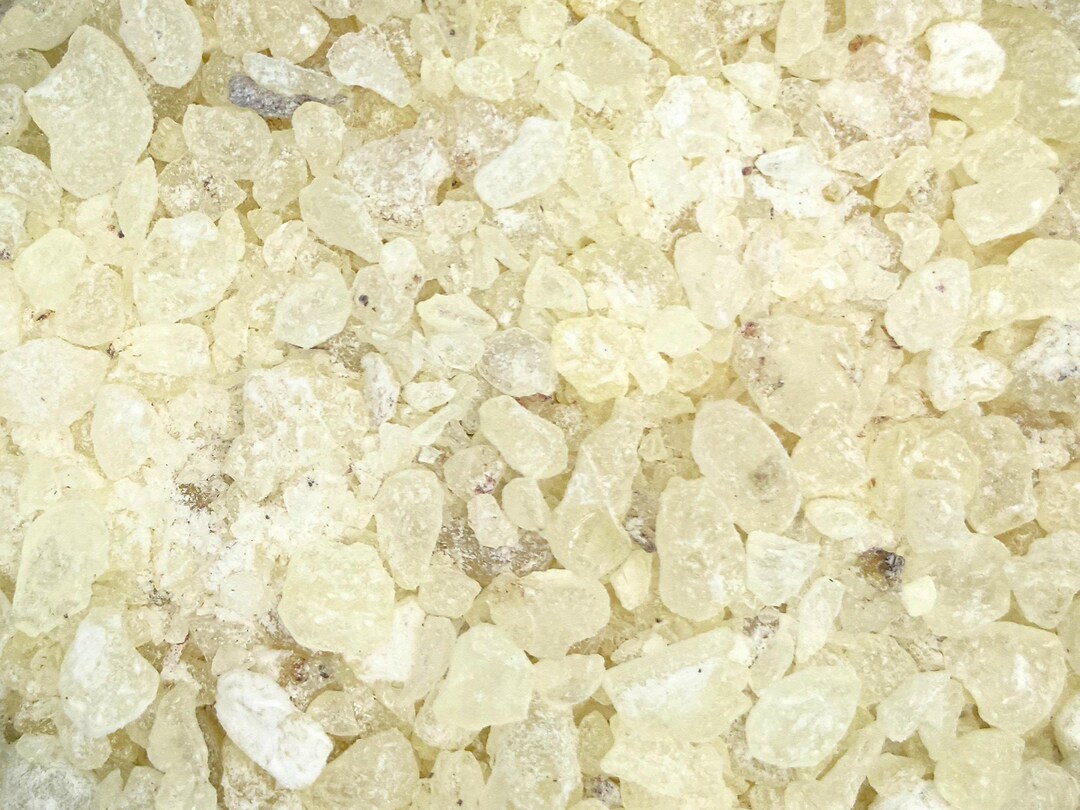 Gum Dammar Powder Kremer Gums & Resins Traditional Oil Painting Varnish ...