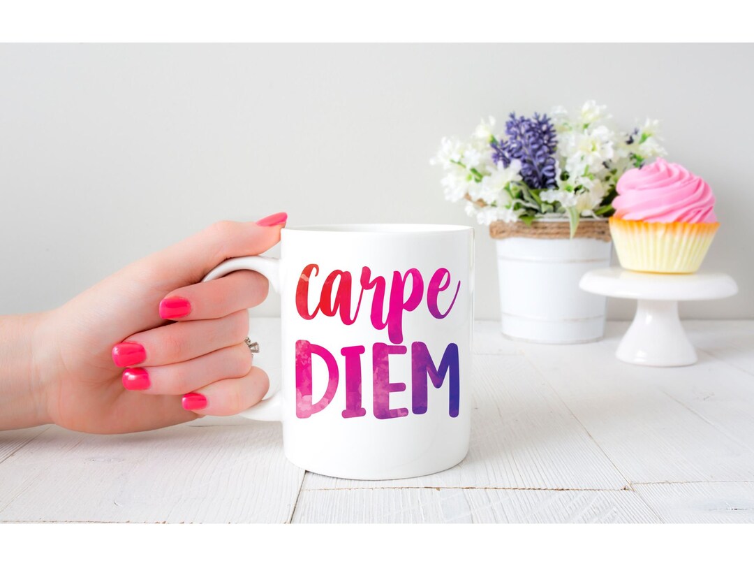 Carpe Diem Sieze the Day Cute Coffee Mug | Sieze the Day Mug ...