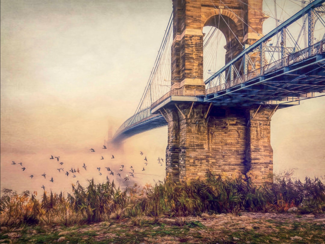 Birds in Flight, Roebling Bridge Cincinnati Ohio - Fine Art Print ...