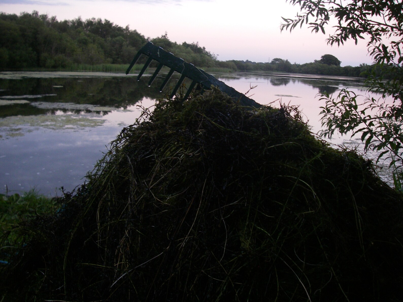 JAKE'S RAKES 12 Pond Weed Rake Double Sided With 20m Rope - Etsy