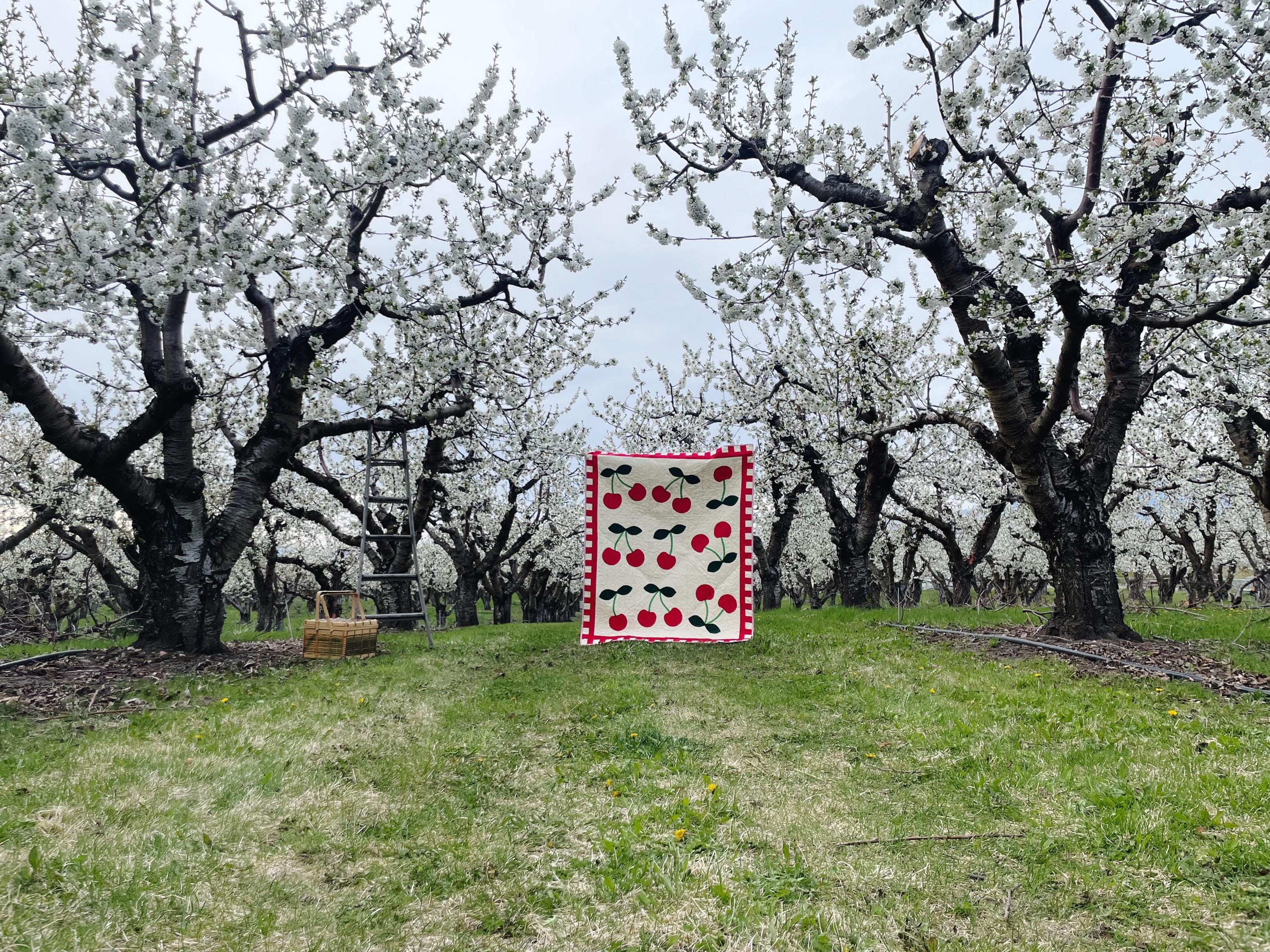 Cherry Delight Modern Quilt Pattern - Etsy