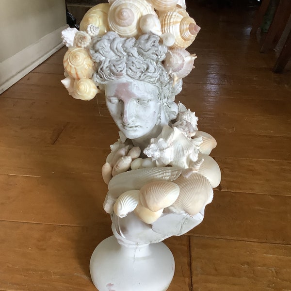 Shell Bust - Etsy