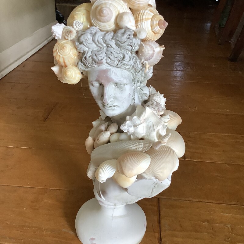 Shell Bust - Etsy