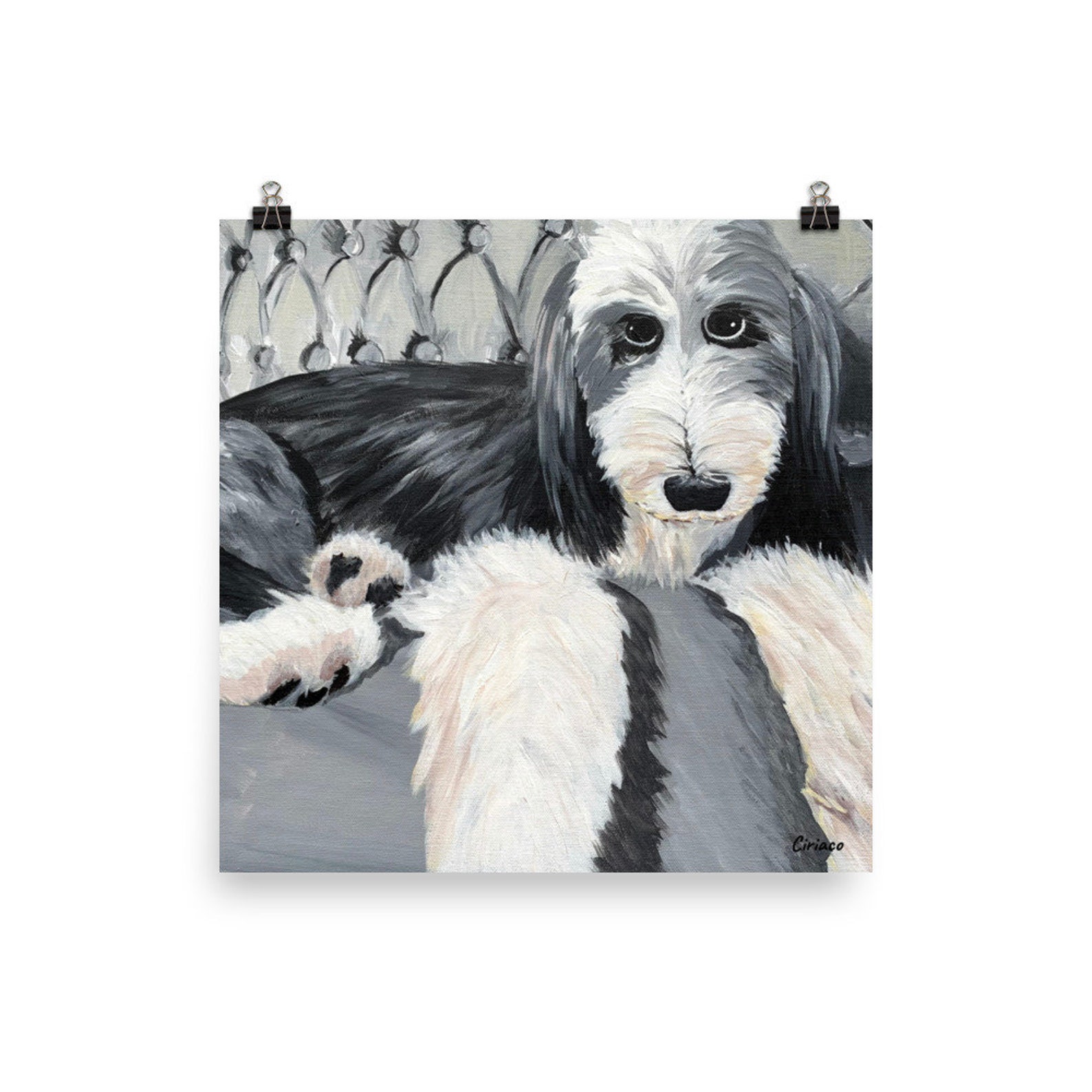 Bearded Collie, Bearded Collie Print, Bearded Collie Merchandise, Dog ...