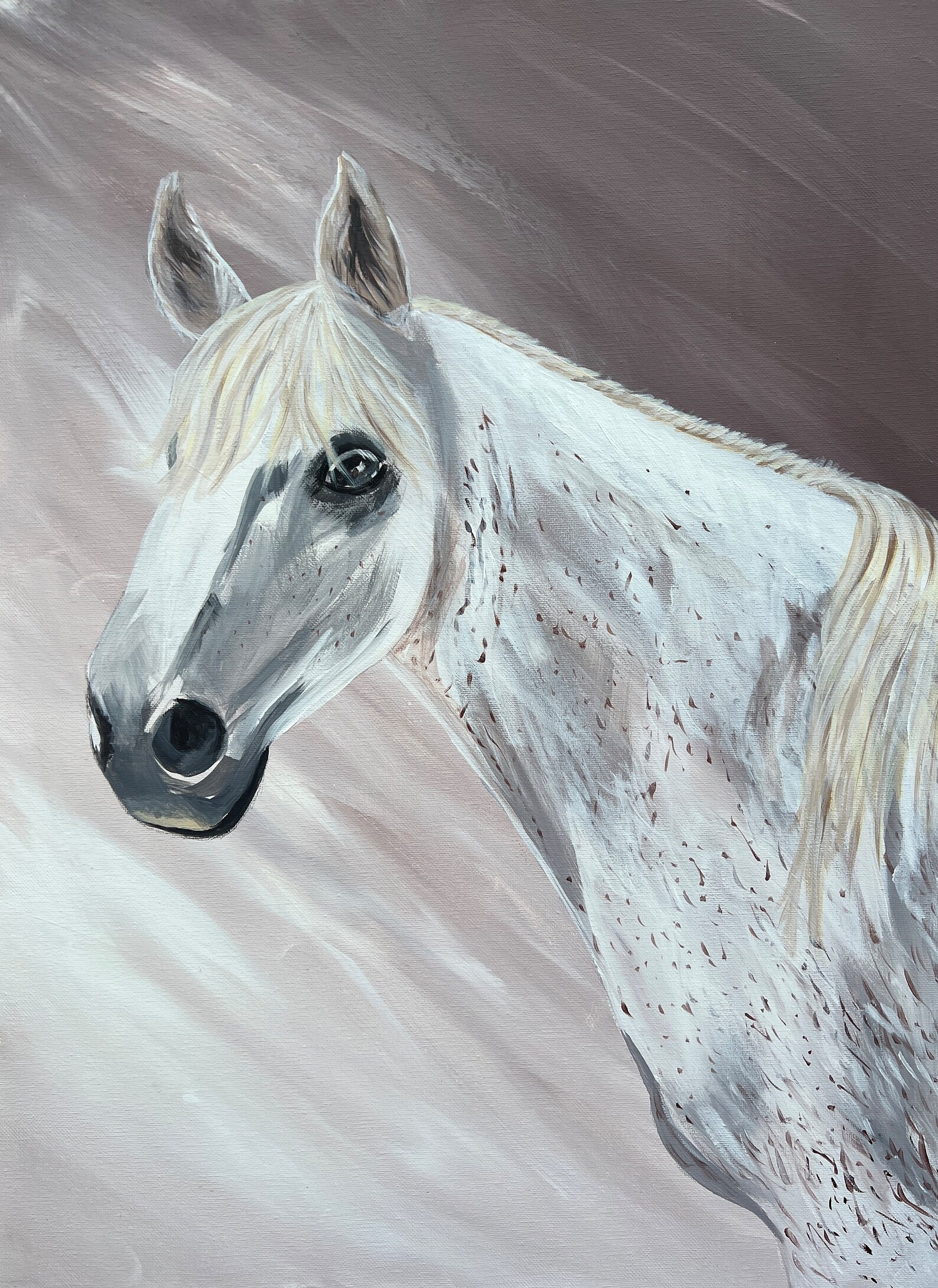 White Horse, White Horse Painting, Original Painting, Horse Painting ...