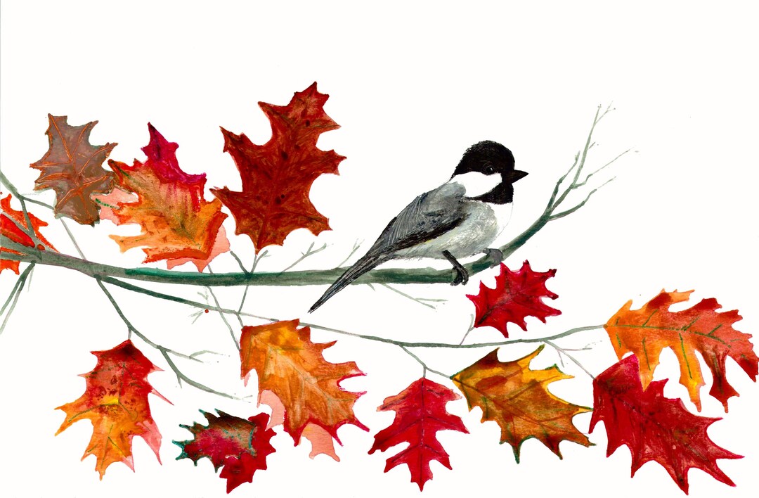 Chickadee - Etsy